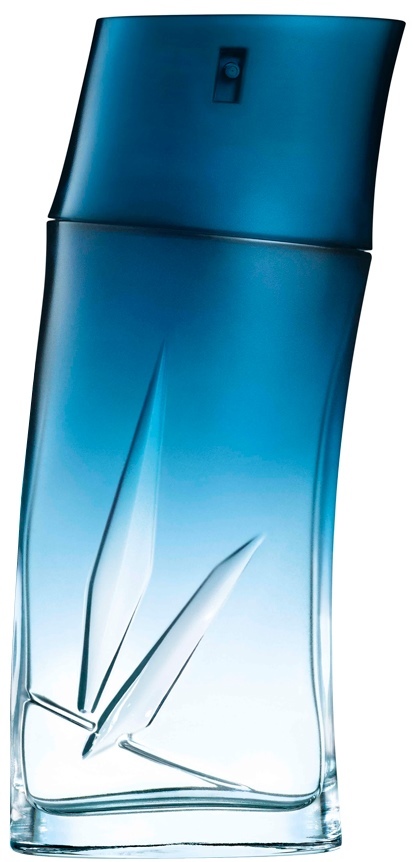 Kenzo Homme Eau de Parfum (Кензо Хом О Де Парфюм) купить духи